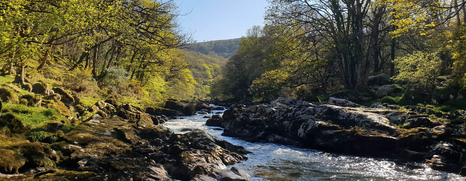 The Dartmoor Way | 95 miles of Cycling and Walking in Dartmoor National ...